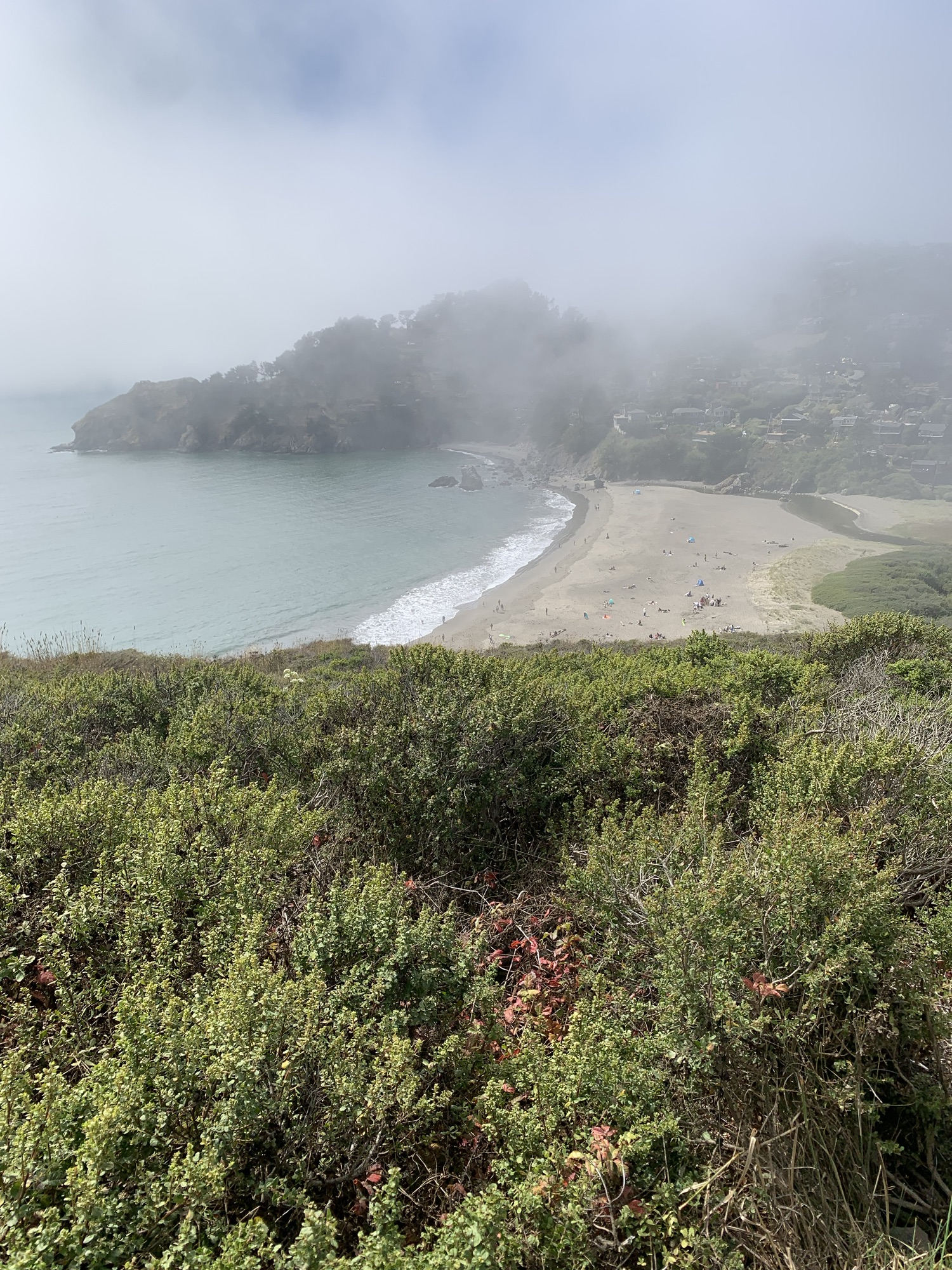 Marin Coastal Trail – August 2024 – The Peninsula Hiking Club